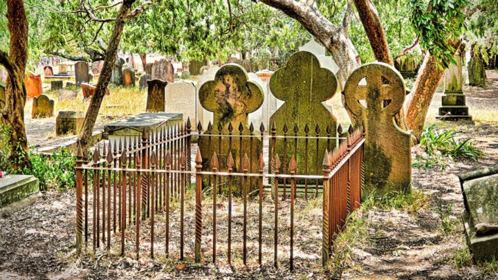‘A grave place to be: The fascinating secrets buried in one of Sydney’s ...