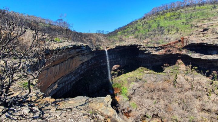 ‘There’s no shame in walking’: Hiking the Narrow Neck Plateau at ...