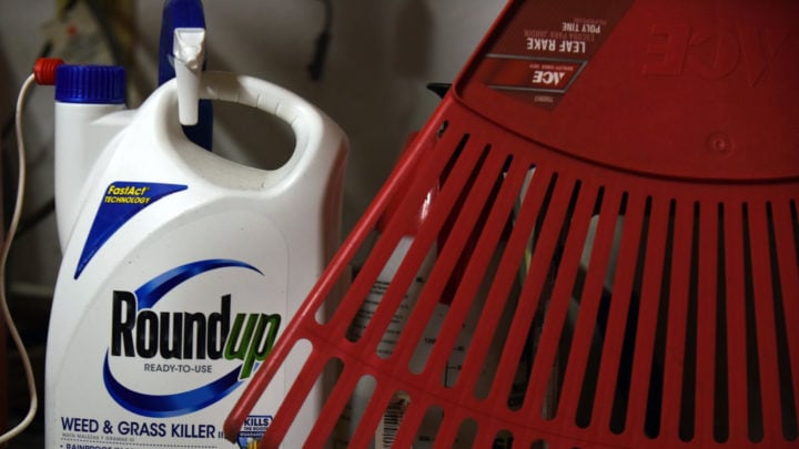 Roundup lawsuits: Bayer pays $15B to settle weedkiller cancer cases ...