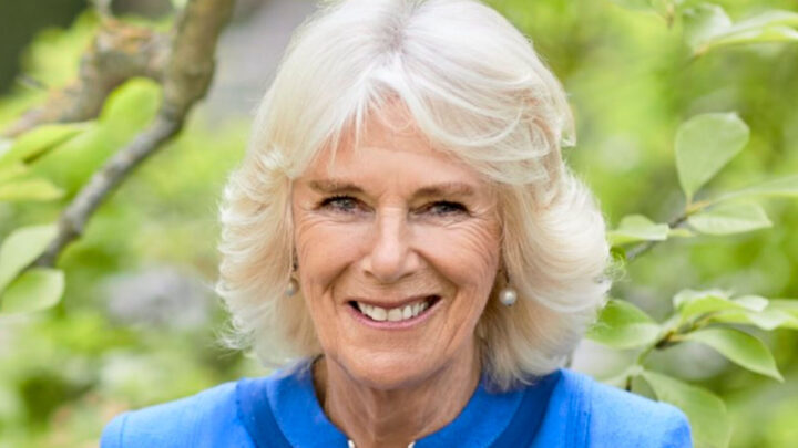 Camilla looks sensational in blue in never-before-seen birthday ...