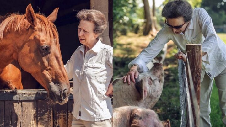 New photographs give a rare glimpse inside Princess Anne’s home life ...