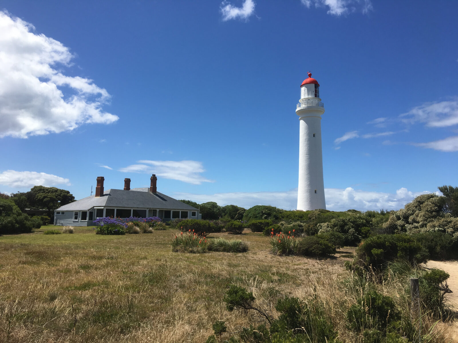‘Our epic adventure on the incredible Great Ocean Road’ - Starts at 60