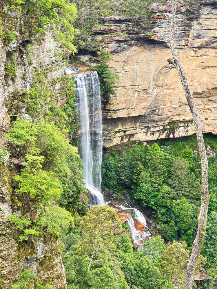 ‘A walk through the Blue Mountains is good for the soul – and Aussie ...