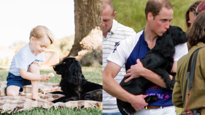 Heartbreak as Prince William and Catherine’s beloved dog Lupo dies ...