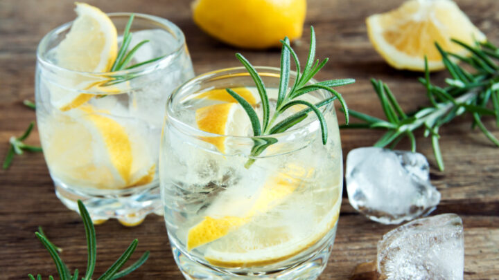 The 4 best ways to serve gin these holidays - Starts at 60