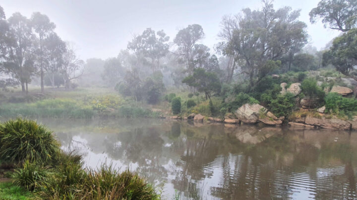 ‘Watching the world go by at Wingecarribee’ - Starts at 60