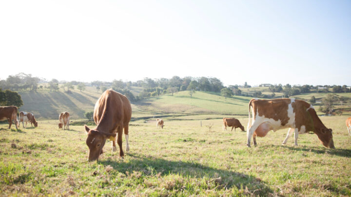 The hottest Aussie holiday trend right now? A fabulous regional farm ...