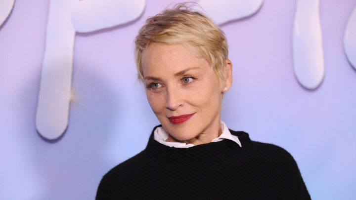 Afterlife debate: Sharon Stone ‘saw the light’ in incredible near-death ...