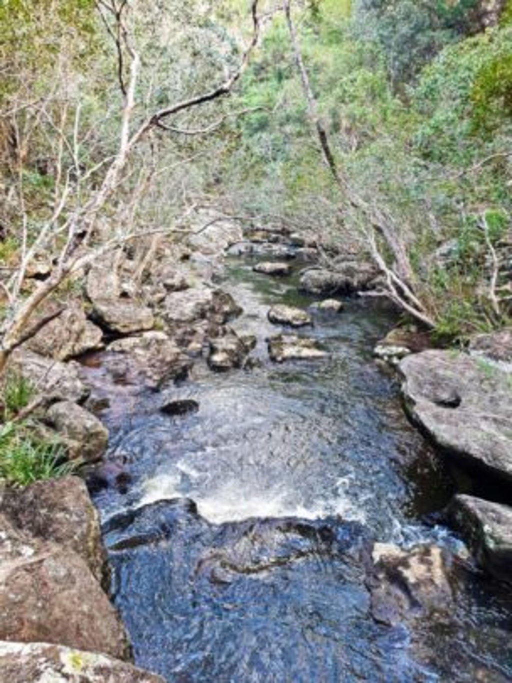 ‘The secret’s out Nowra! The hidden oasis of Australian bushland at ...