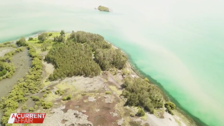 ‘How ridiculous’: NSW’s Coon Island to be renamed over racism claims ...