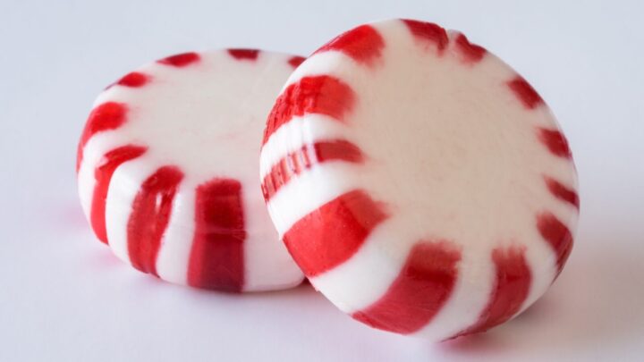 Daily Joke: Two mints are arguing in a bar - Starts at 60