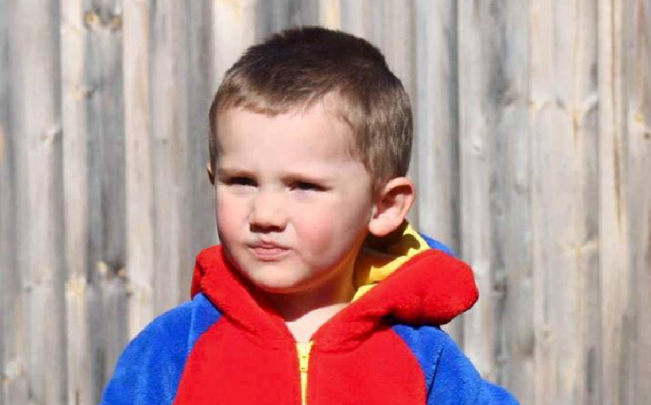 William Tyrrell update: Police ‘very happy’ with items discovered ...