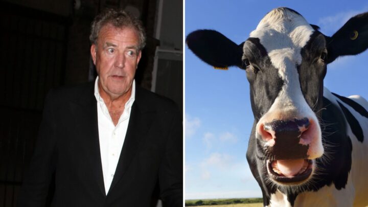 Jeremy Clarkson reveals he suffered ‘smashed testicles’ after cow ...