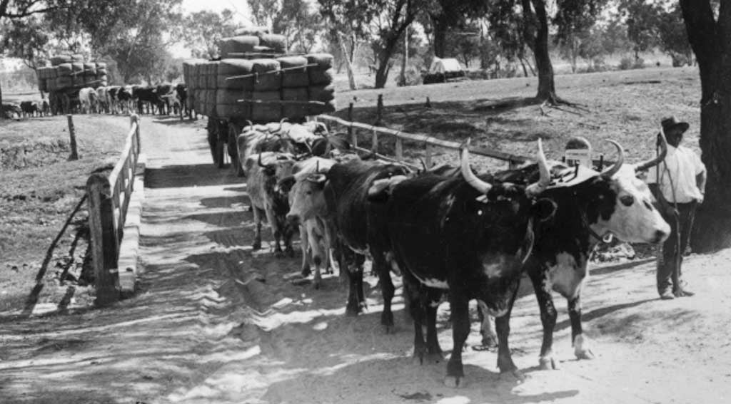 Experience Aussie icons of transport that changed our world - Starts at 60