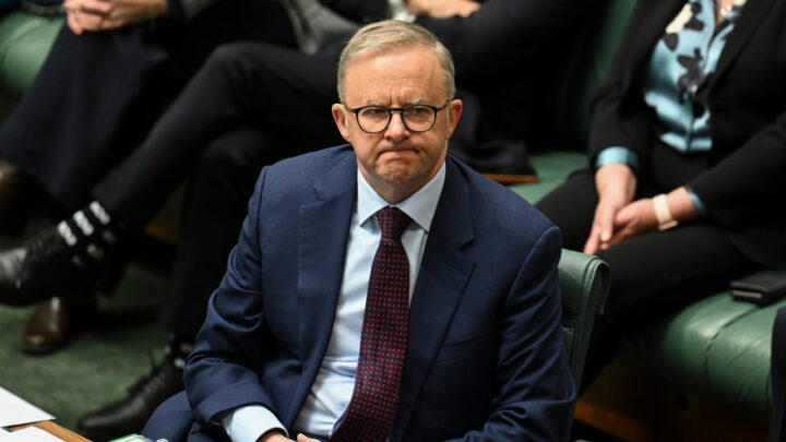 ‘It’s an insult’: PM Anthony Albanese slammed over press conference ...