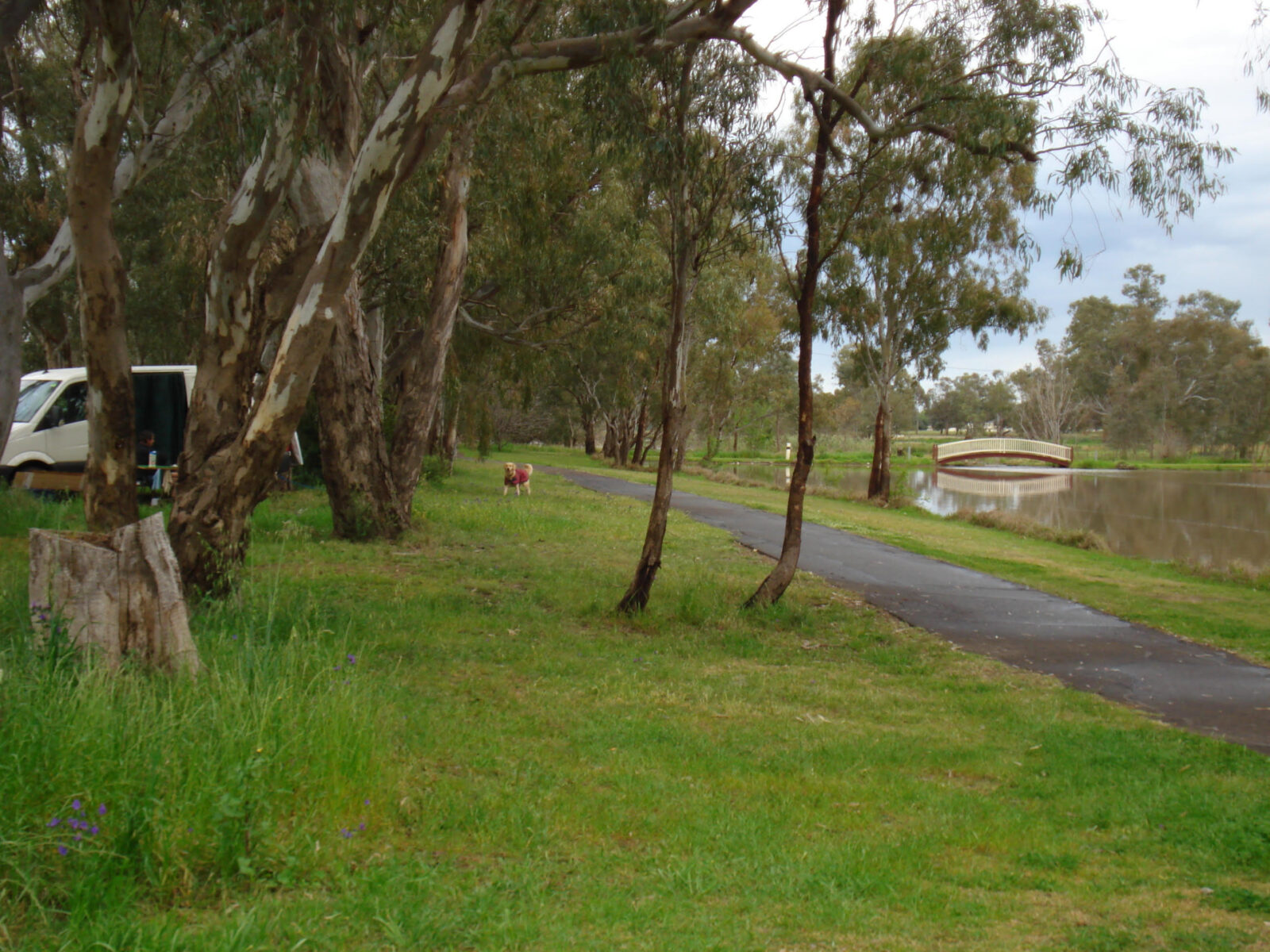 Lachlan Valley’s scenic sculpture tour - Starts at 60