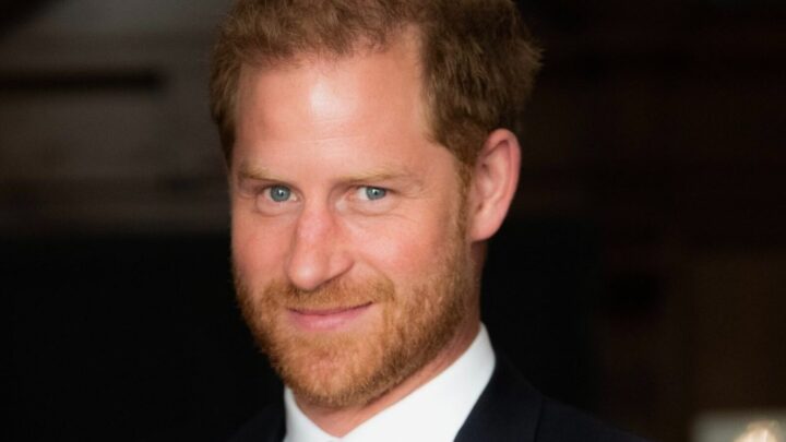 Prince Harry gives a glimpse into his family life with sweet update on ...