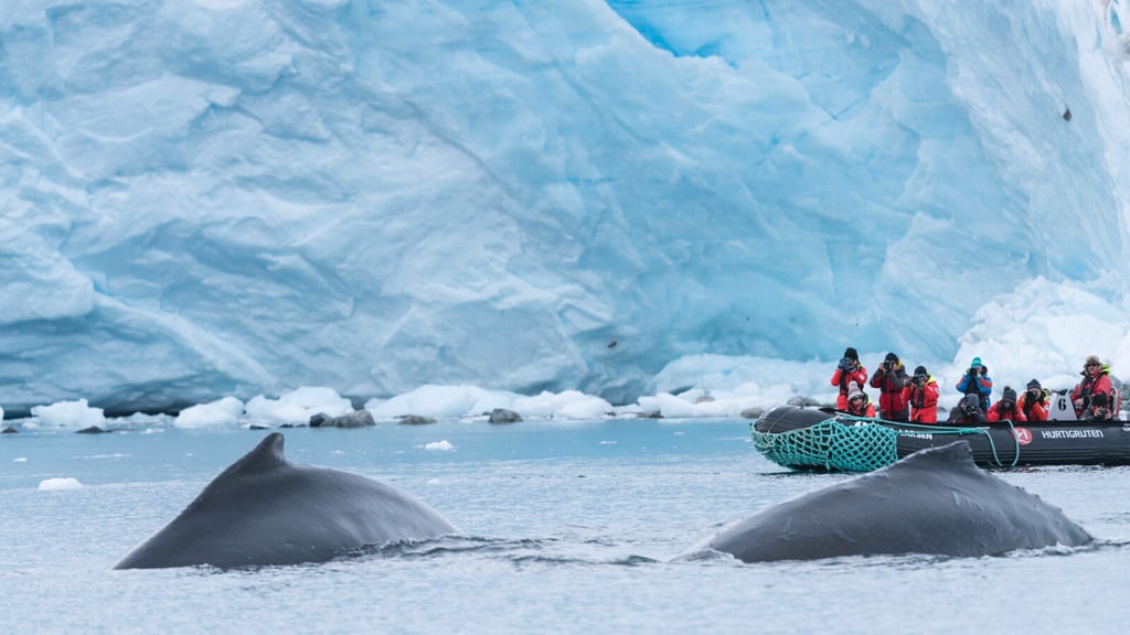 Four unforgettable ways to explore Antarctica’s unique wilderness ...