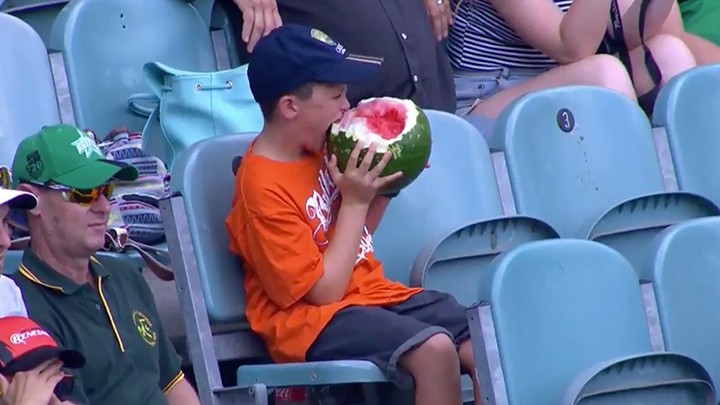 Meet “Watermelon Boy”: Australia’s new online sensation - Starts at 60